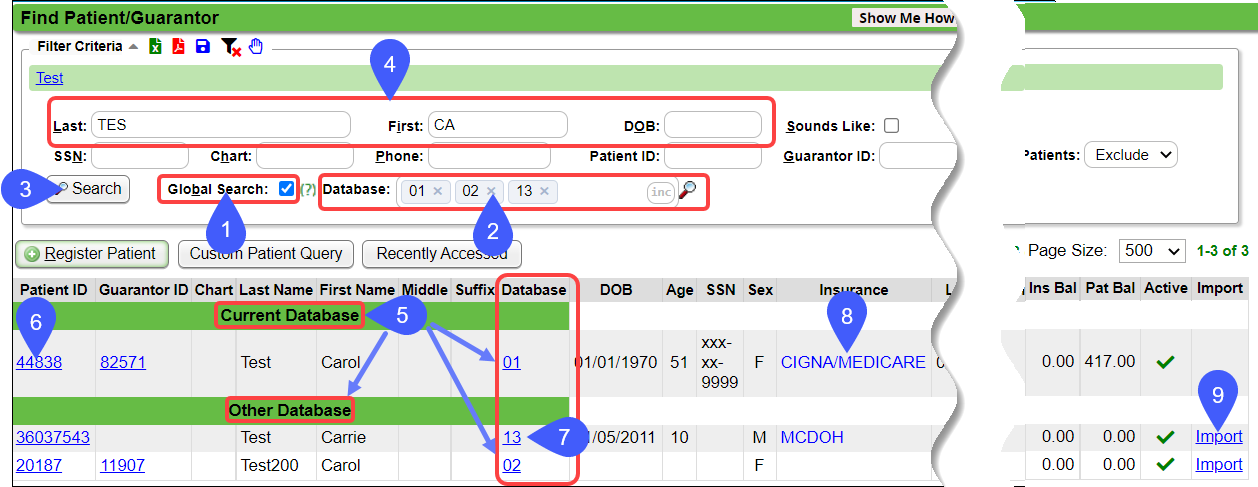 Global Patient Search